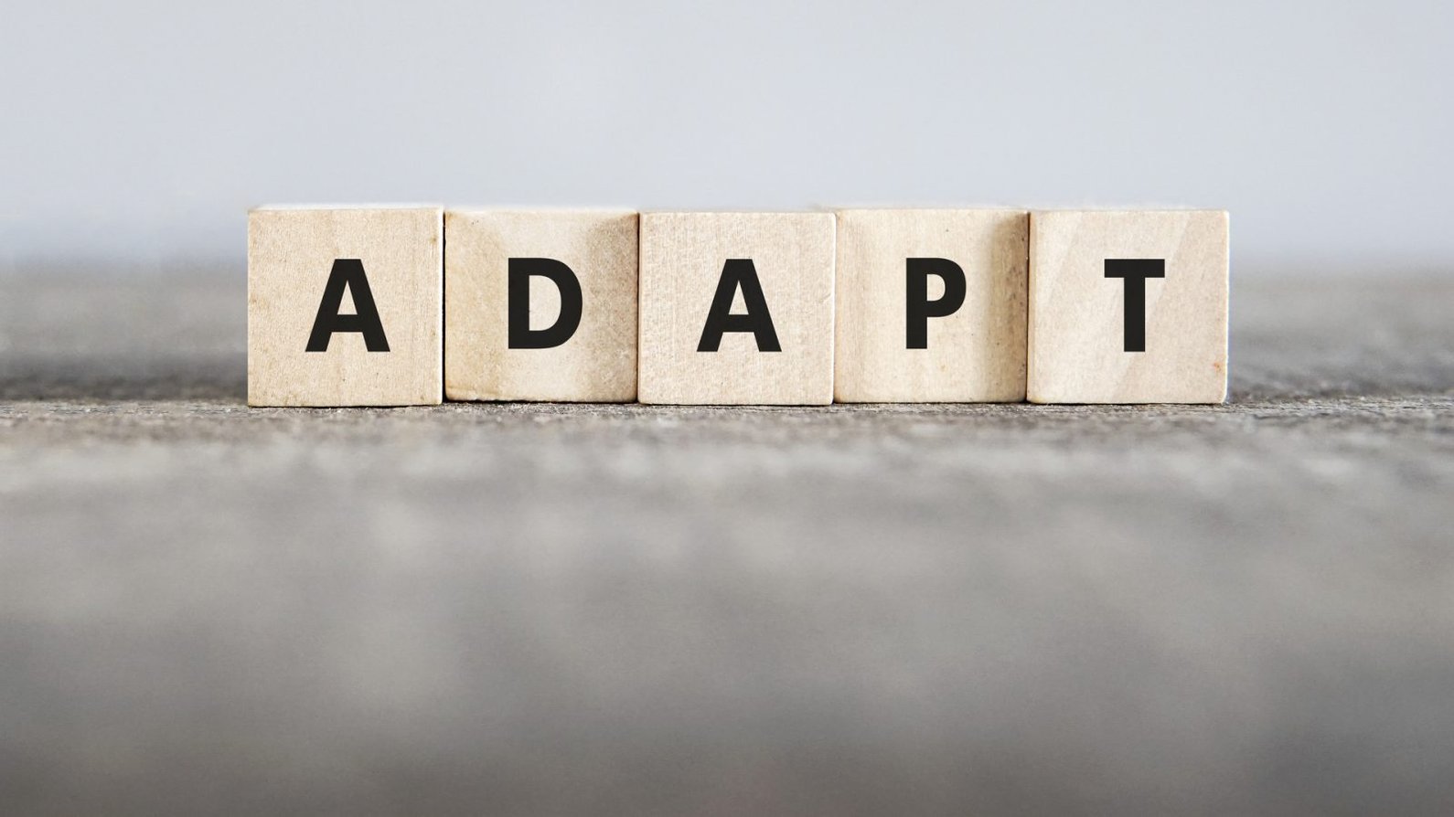 ¿Qué es el job crafting y para qué se utiliza? | Blog Anfix